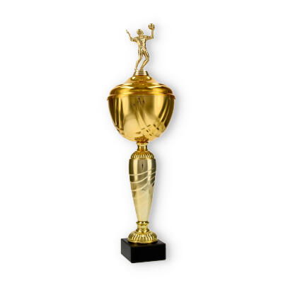 Trophies Dore - Individualized for Volleyball Achievements